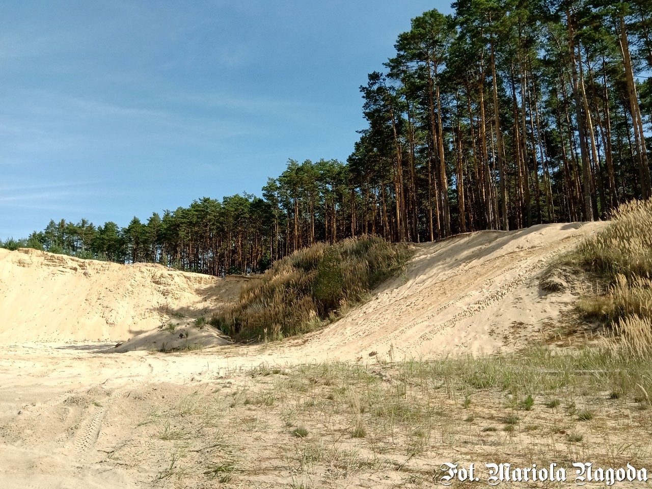 Opolskie wydmy | Opolanka z pasją